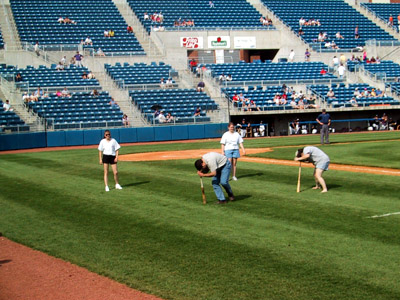 Fifer.Net - Baseball